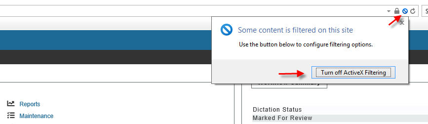 How to Fix Internet Explorer 11 Blocking ActiveX Components